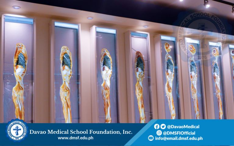 𝐃𝐌𝐒𝐅𝐈 𝐞𝐧𝐬𝐮𝐫𝐞𝐬 𝐞𝐱𝐜𝐞𝐥𝐥𝐞𝐧𝐭 𝐦𝐞𝐝𝐢𝐜𝐚𝐥 𝐞𝐝𝐮𝐜𝐚𝐭𝐢𝐨𝐧 𝐭𝐡𝐫𝐨𝐮𝐠𝐡 𝐚 𝐧𝐞𝐰𝐥𝐲 𝐛𝐮𝐢𝐥𝐭 𝐀𝐧𝐚𝐭𝐨𝐦𝐲 ...