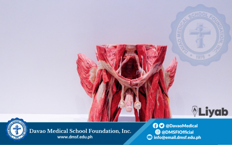 𝐃𝐌𝐒𝐅𝐈 𝐞𝐧𝐬𝐮𝐫𝐞𝐬 𝐞𝐱𝐜𝐞𝐥𝐥𝐞𝐧𝐭 𝐦𝐞𝐝𝐢𝐜𝐚𝐥 𝐞𝐝𝐮𝐜𝐚𝐭𝐢𝐨𝐧 𝐭𝐡𝐫𝐨𝐮𝐠𝐡 𝐚 𝐧𝐞𝐰𝐥𝐲 𝐛𝐮𝐢𝐥𝐭 𝐀𝐧𝐚𝐭𝐨𝐦𝐲 ...