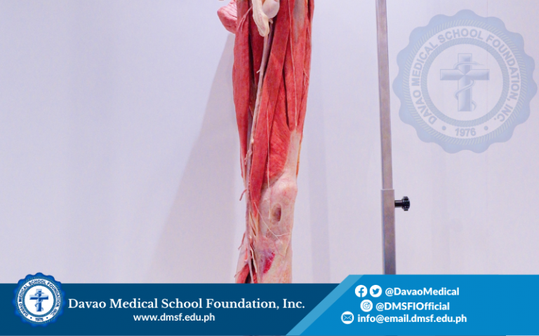 𝐃𝐌𝐒𝐅𝐈 𝐞𝐧𝐬𝐮𝐫𝐞𝐬 𝐞𝐱𝐜𝐞𝐥𝐥𝐞𝐧𝐭 𝐦𝐞𝐝𝐢𝐜𝐚𝐥 𝐞𝐝𝐮𝐜𝐚𝐭𝐢𝐨𝐧 𝐭𝐡𝐫𝐨𝐮𝐠𝐡 𝐚 𝐧𝐞𝐰𝐥𝐲 𝐛𝐮𝐢𝐥𝐭 𝐀𝐧𝐚𝐭𝐨𝐦𝐲 ...